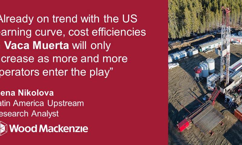 Vaca Muerta production to reach 113 kboed by 2018 | Wood Mackenzie