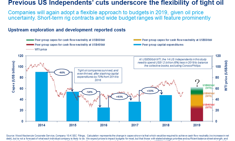 How will US independents answer the call for capital discipline? | Wood ...