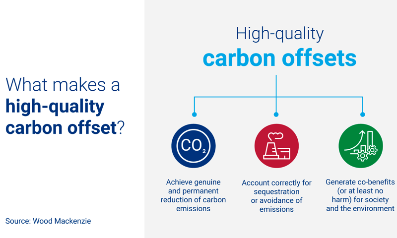 Voluntary Carbon Markets: Here To Stay? | Wood Mackenzie