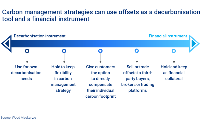 How Are Oil And Gas Companies Using Carbon Offsets To Decarbonise ...