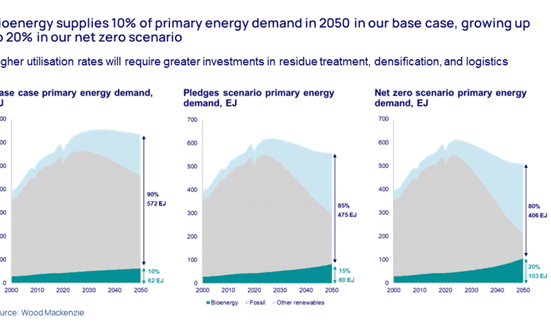 Bioenergy: a US$500 billion market opportunity | Wood Mackenzie