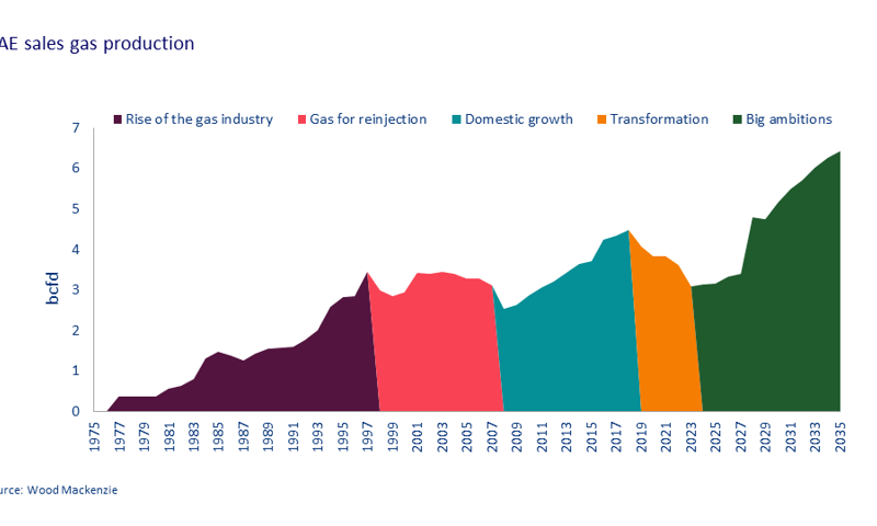 An ADNOC trilogy (part 2):Building a gas nation | Wood Mackenzie