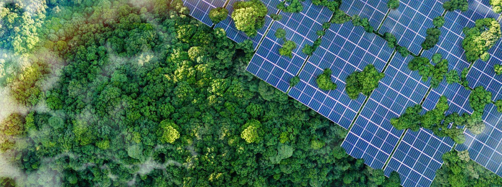 LONGi Green Energy tops Wood Mackenzie’s global solar PV module ...