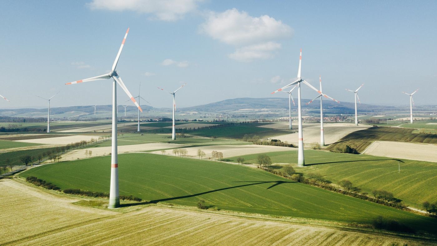 Can European renewables still turn a profit? | Wood Mackenzie