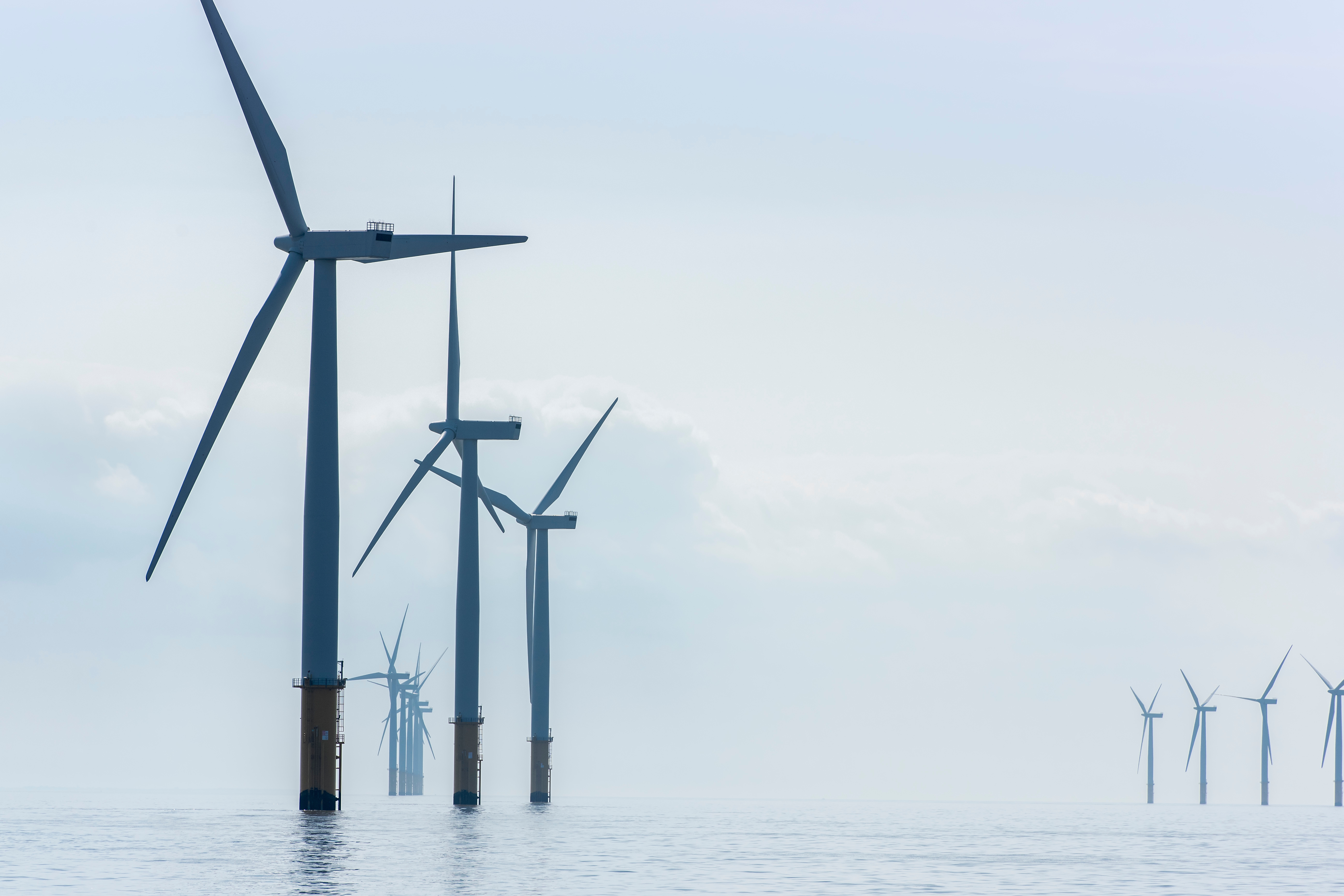 The wind energy industry paradox: short-term headwinds and long-term ...